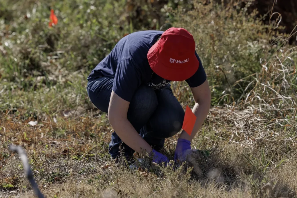 WashU initiative testing soil, air in tornado-affected neighborhoods ...